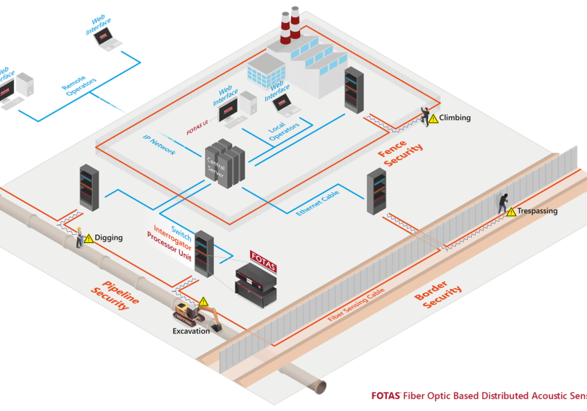 Portfolios Archive - Fotas